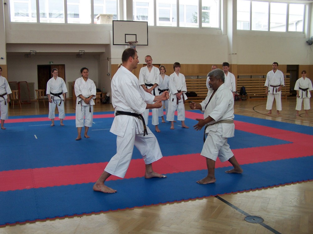 Seminář karate a soustředění reprezentace-sensei R.Sinha a R.Soebajo ...