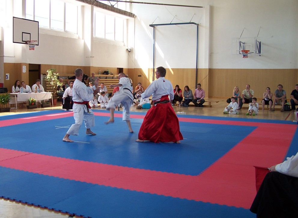 1.Fudokan Cup Dr.Ilija Jorga Praha 2012 | Česká federace tradičního ...