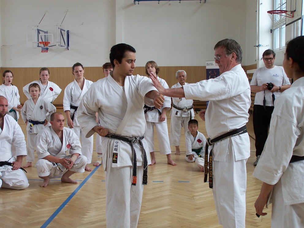 Seminář karate pod vedením Dr.Ilija Jorga, Praha | Česká federace ...
