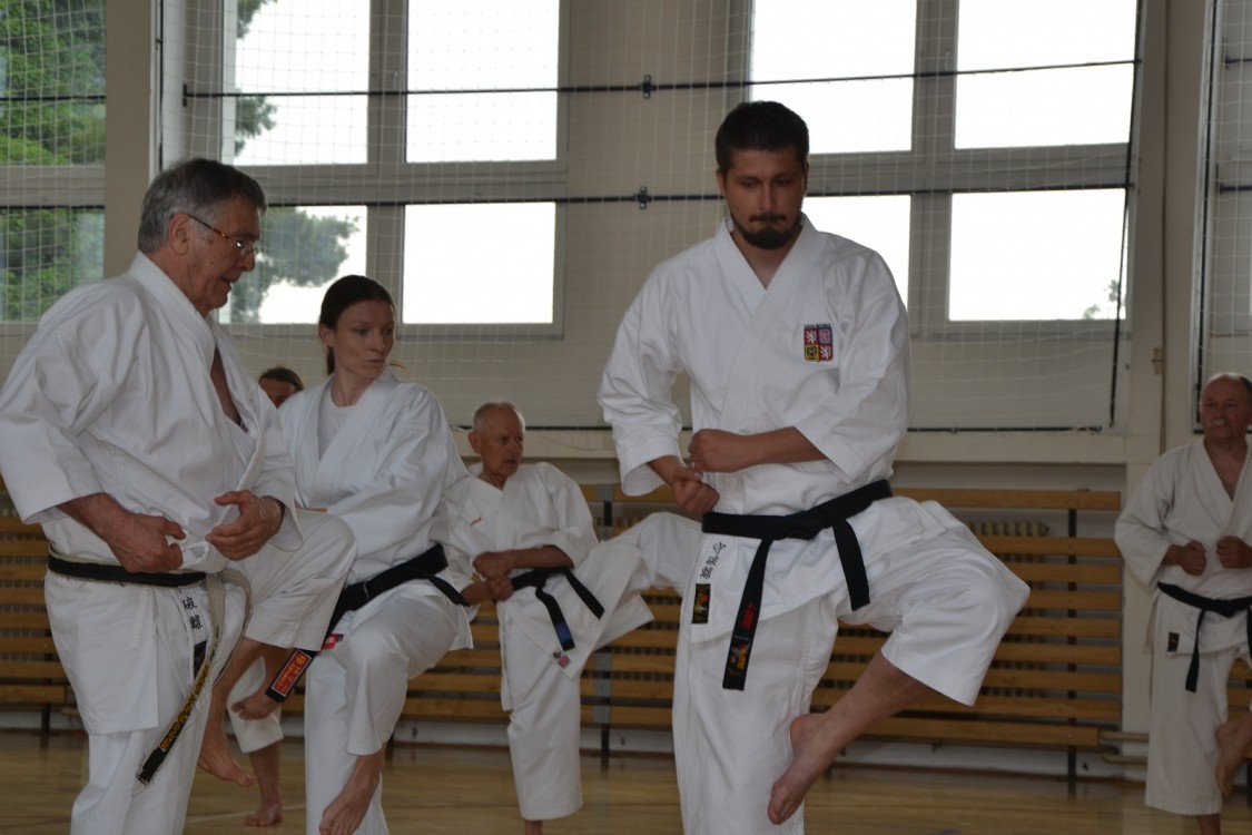 Seminář Dr.Ilija Jorga Soke 10 Dan | Česká federace tradičního karate ...