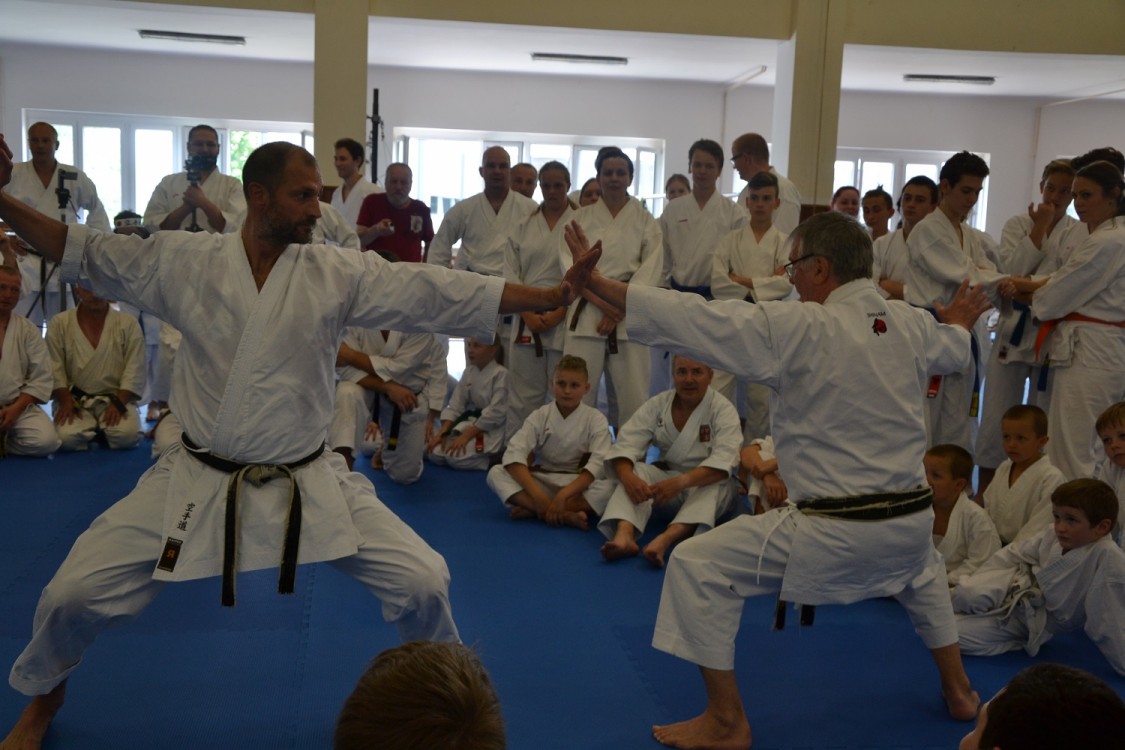 Seminář karate Dr.Ilija Jorga Soke 10 Dan | Česká federace tradičního ...