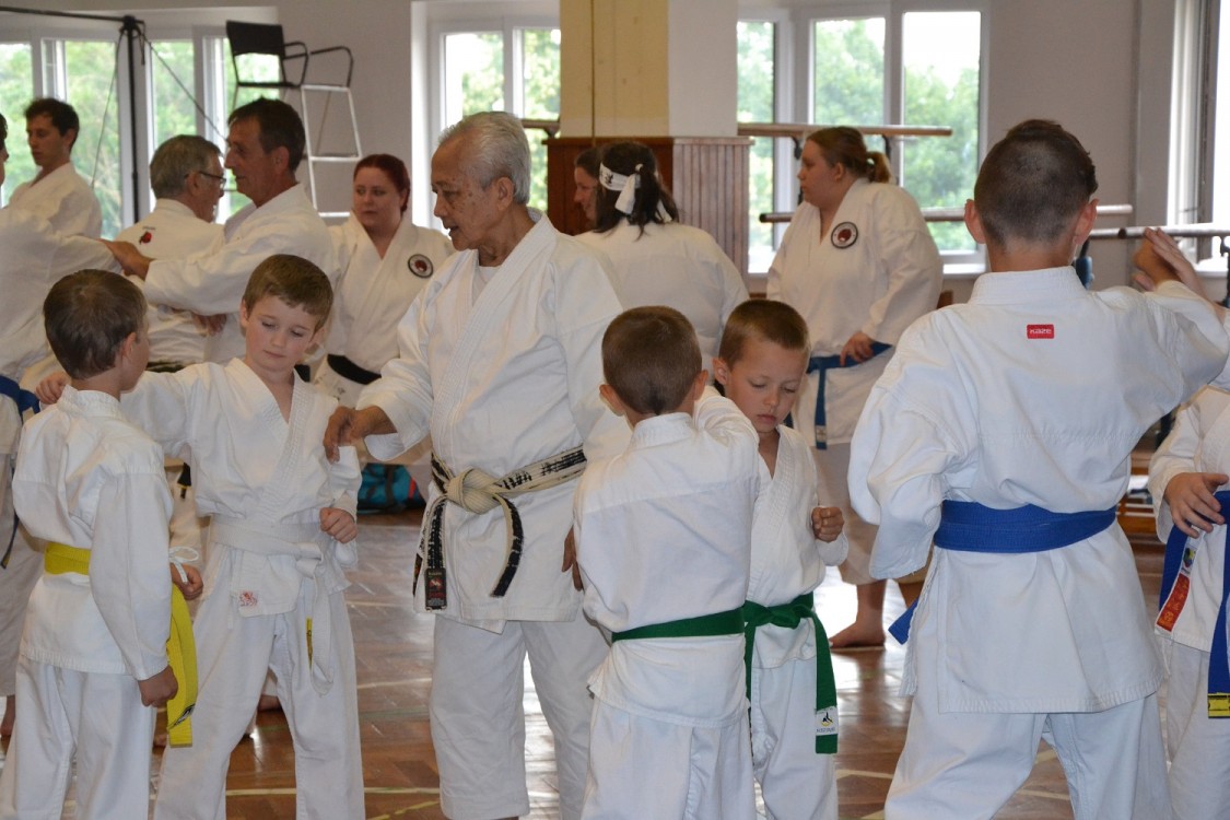 Seminář karate Dr.Ilija Jorga Soke 10 Dan | Česká federace tradičního ...