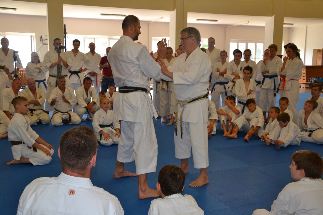 Seminář karate Dr.Ilija Jorga Soke 10 Dan | Česká federace tradičního ...