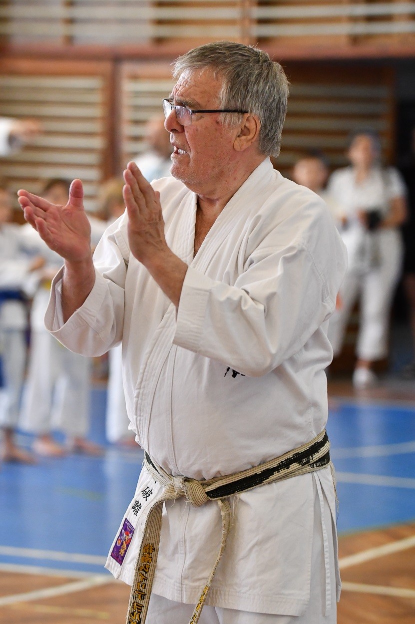 Seminář karate Dr.Ilija Jorga Soke 10 Dan | Česká federace tradičního ...