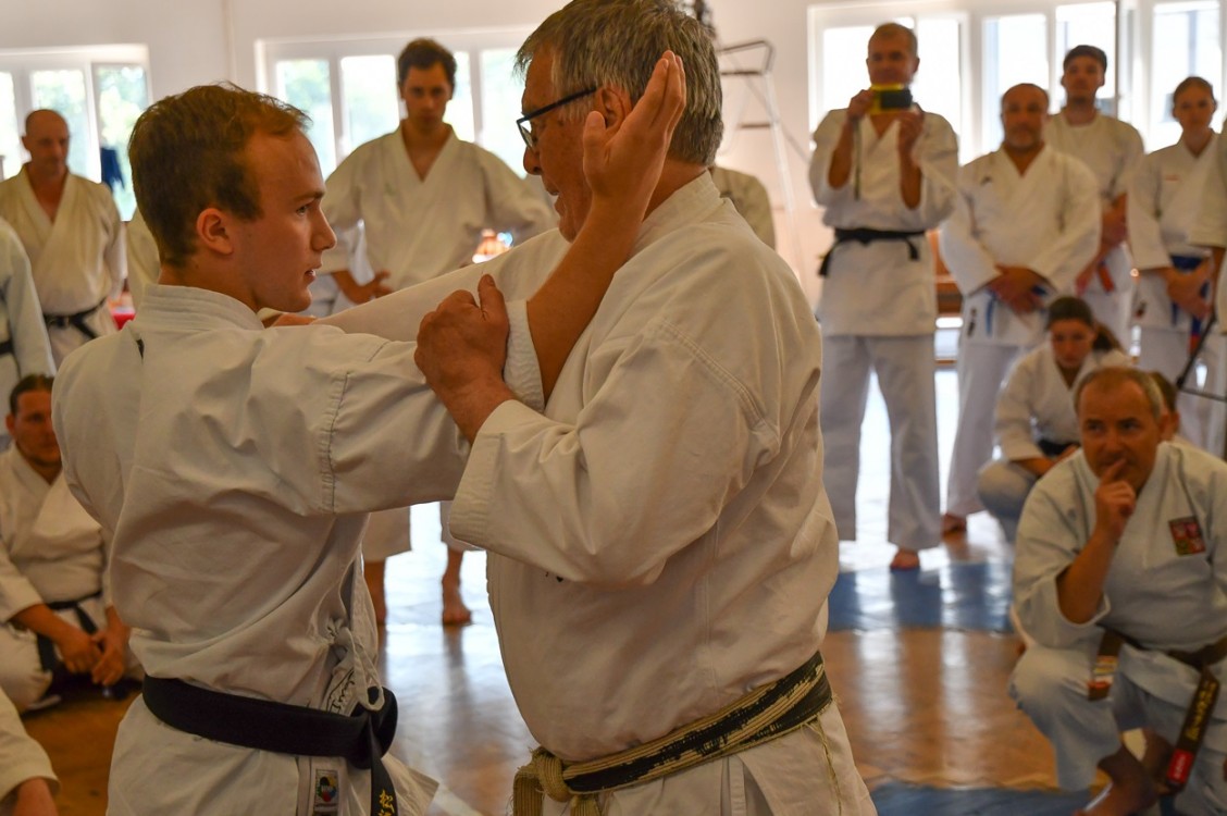Seminář karate Dr.Ilija Jorga Soke 10 Dan | Česká federace tradičního ...